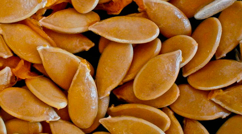 Desarrollan botana rica en ácidos grasos y proteínas