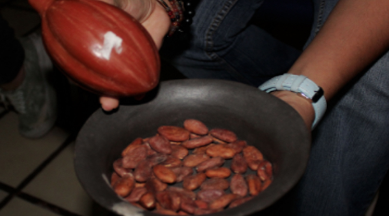 Universitarios realizan foro sobre el cacao