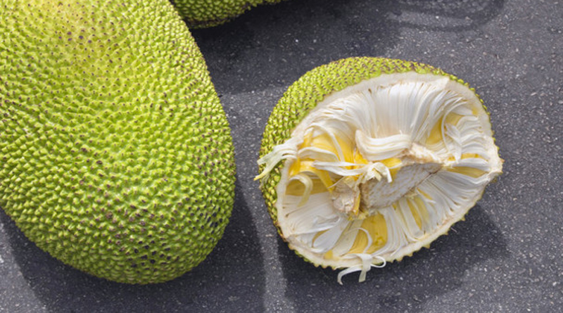Introducing jackfruit: The next big thing in plant-based meat alternatives?