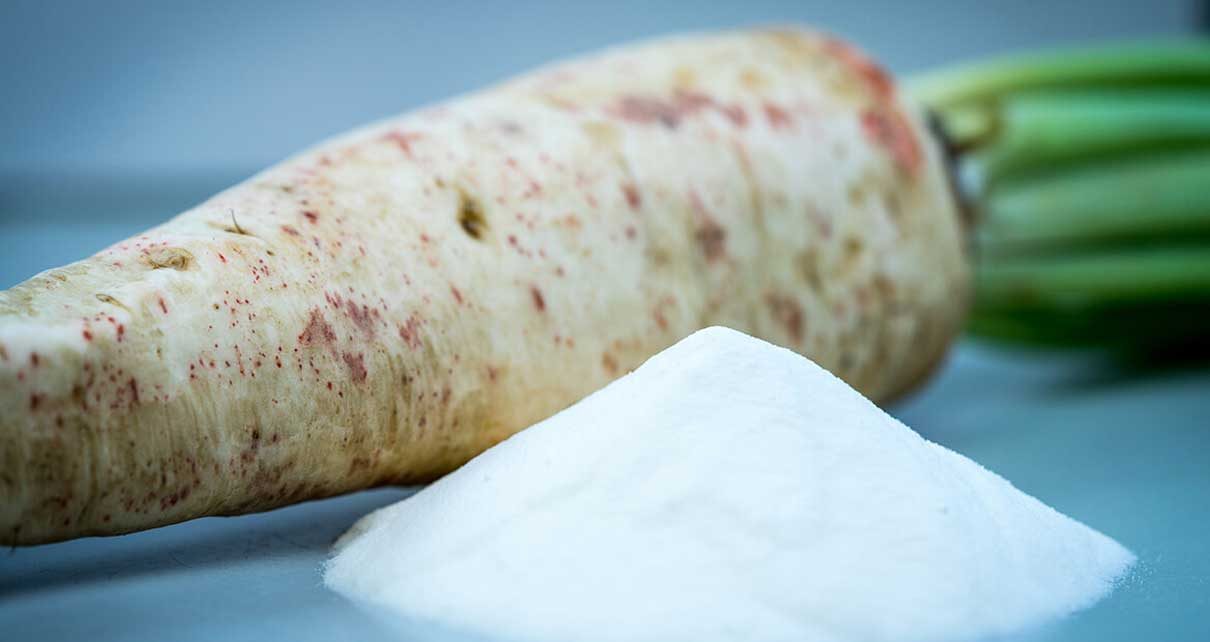 Un nuevo estudio confirma los beneficios de las fibras de raíz de achicoria